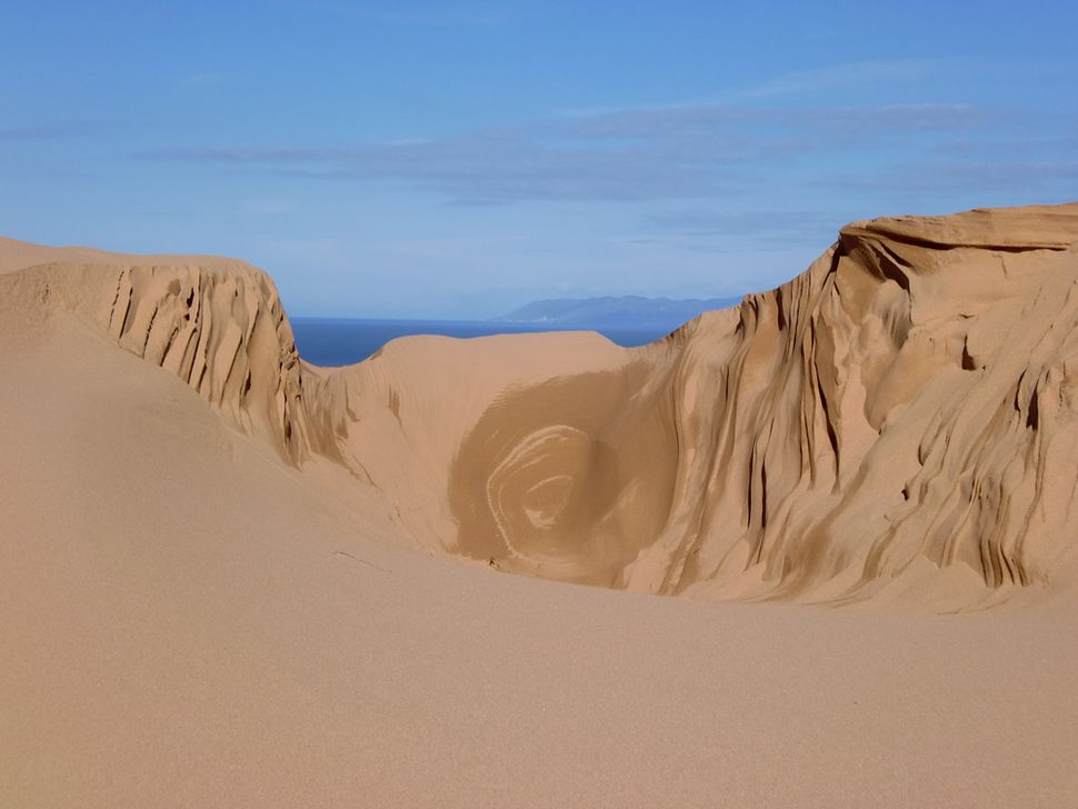 Sand Scenes: California's Shifting Dunes | Live Science