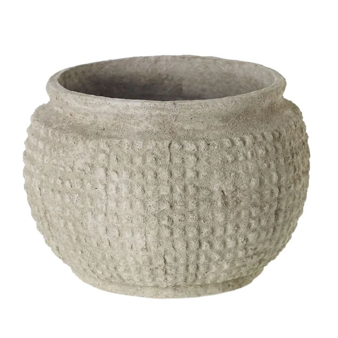 How to Grow Cosmos — Planting Tips to Help Flowers Thrive | Livingetc