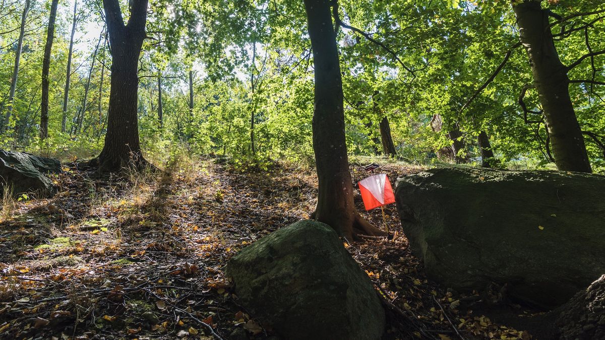 What is orienteering – and why you should give it a try | Advnture