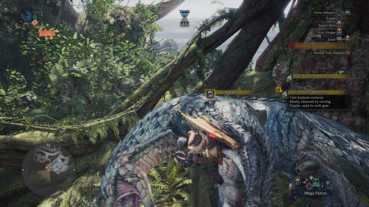 Monster Hunter World armor skills explained | GamesRadar+