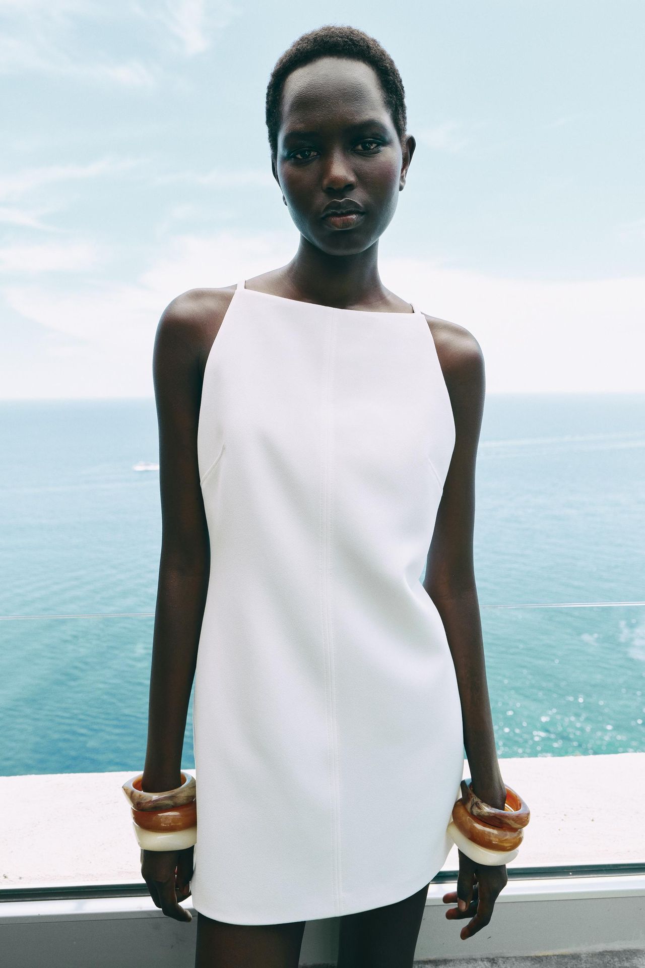 33 Summer Zara Dresses That Are a Cut Above the Rest | Who What Wear