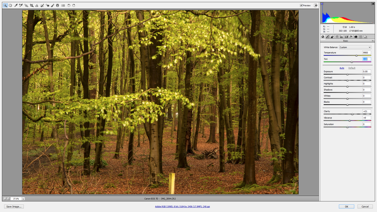 Change summer into autumn using extreme color adjustments in Photoshop ...