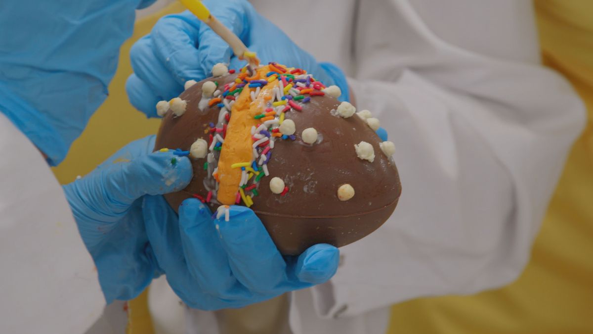 The Apprentice UK 2025: release date, trailer and candidates | What to ...