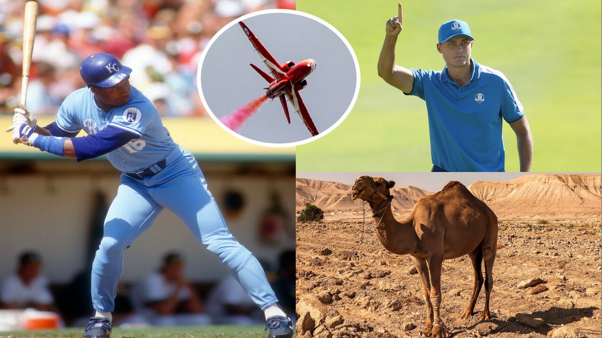 What's The Craziest Thing That's Ever Happened On A Golf Course | Golf ...