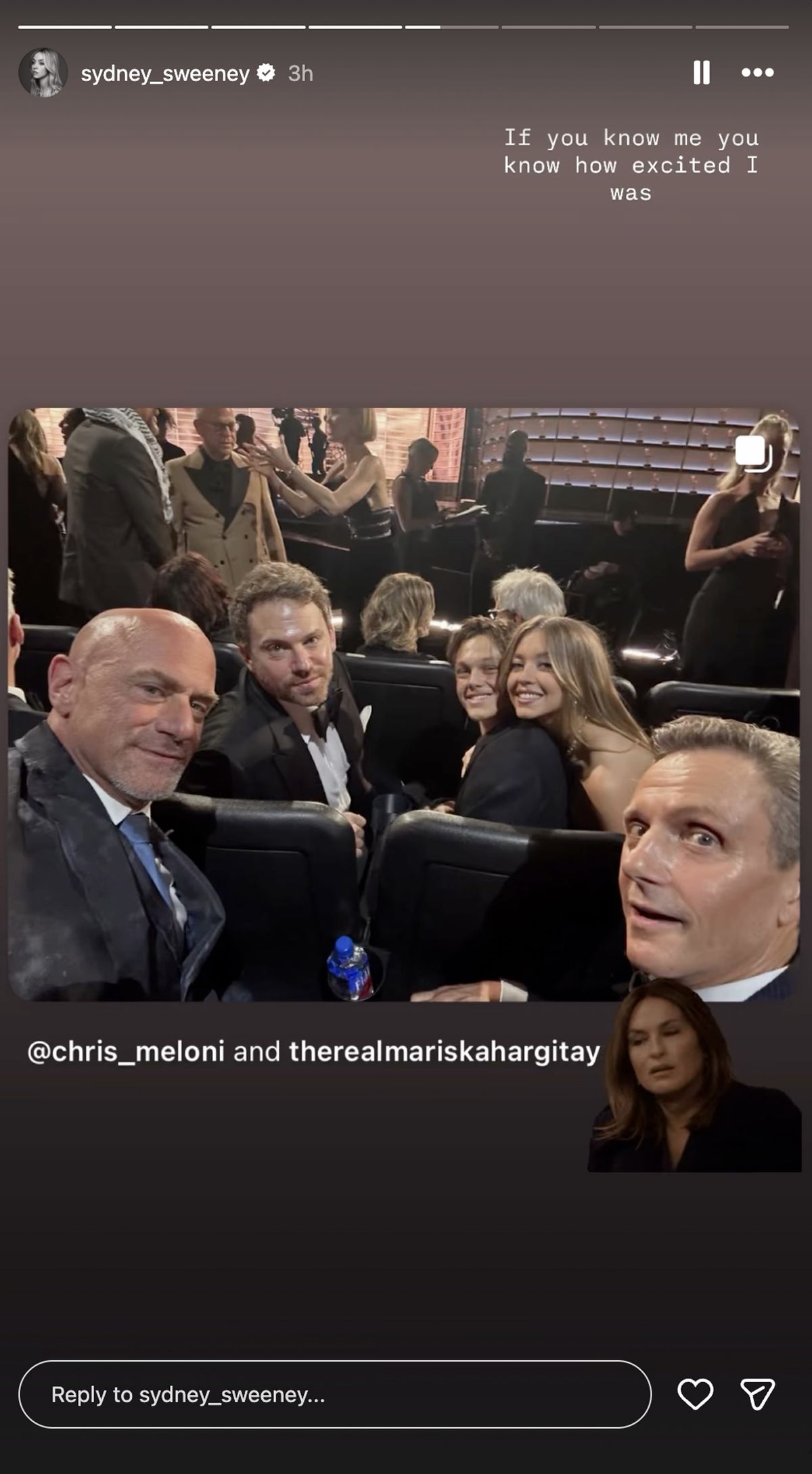 I Did Not Have Sydney Sweeney Geeking Out In A Photo With Christopher Meloni On My Emmys Bingo ...