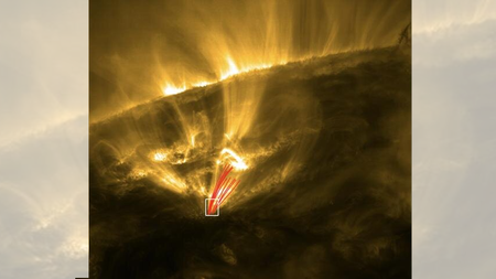 The Sun News - all the latest about The Sun - Page 5 | Live Science