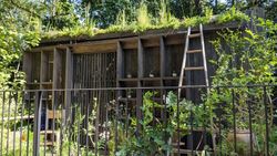 Wildlife garden ideas: turn a backyard into a natural haven | Homes and ...