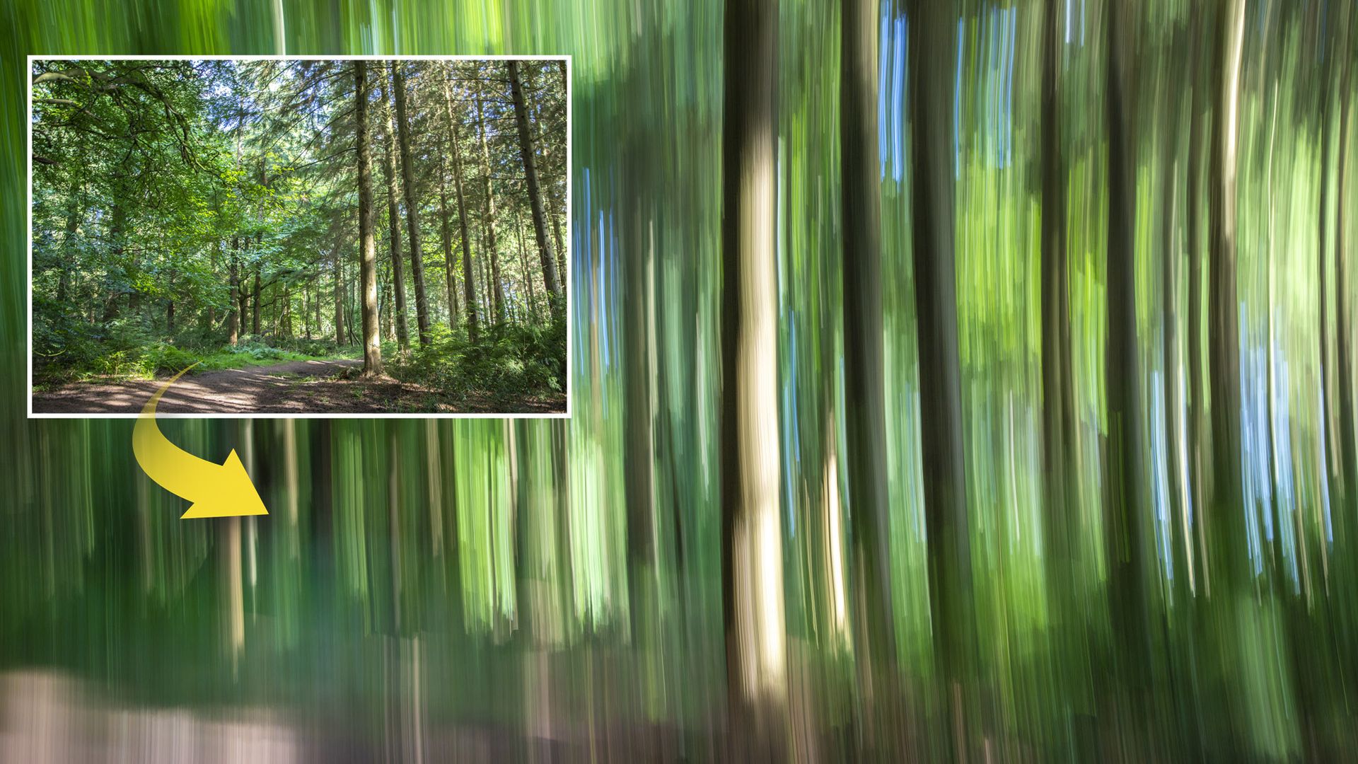 It's all a bit of a blur! Use a pan and tilt tripod head for creative ...