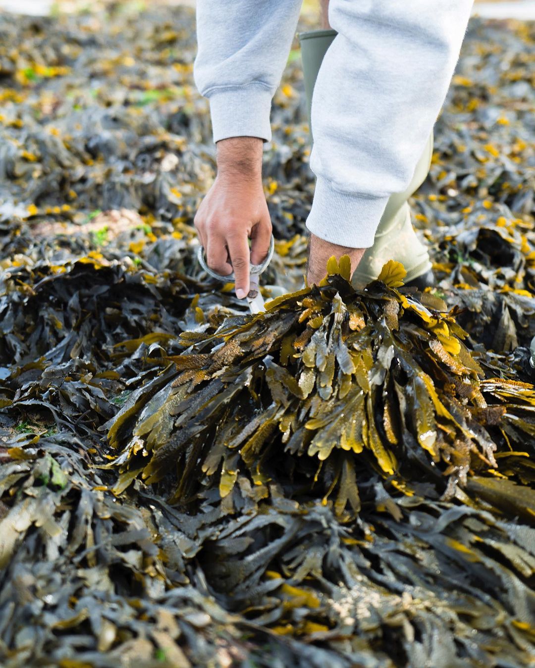 Wallpaper* gift guide by fashion features editor Jack Moss | Wallpaper