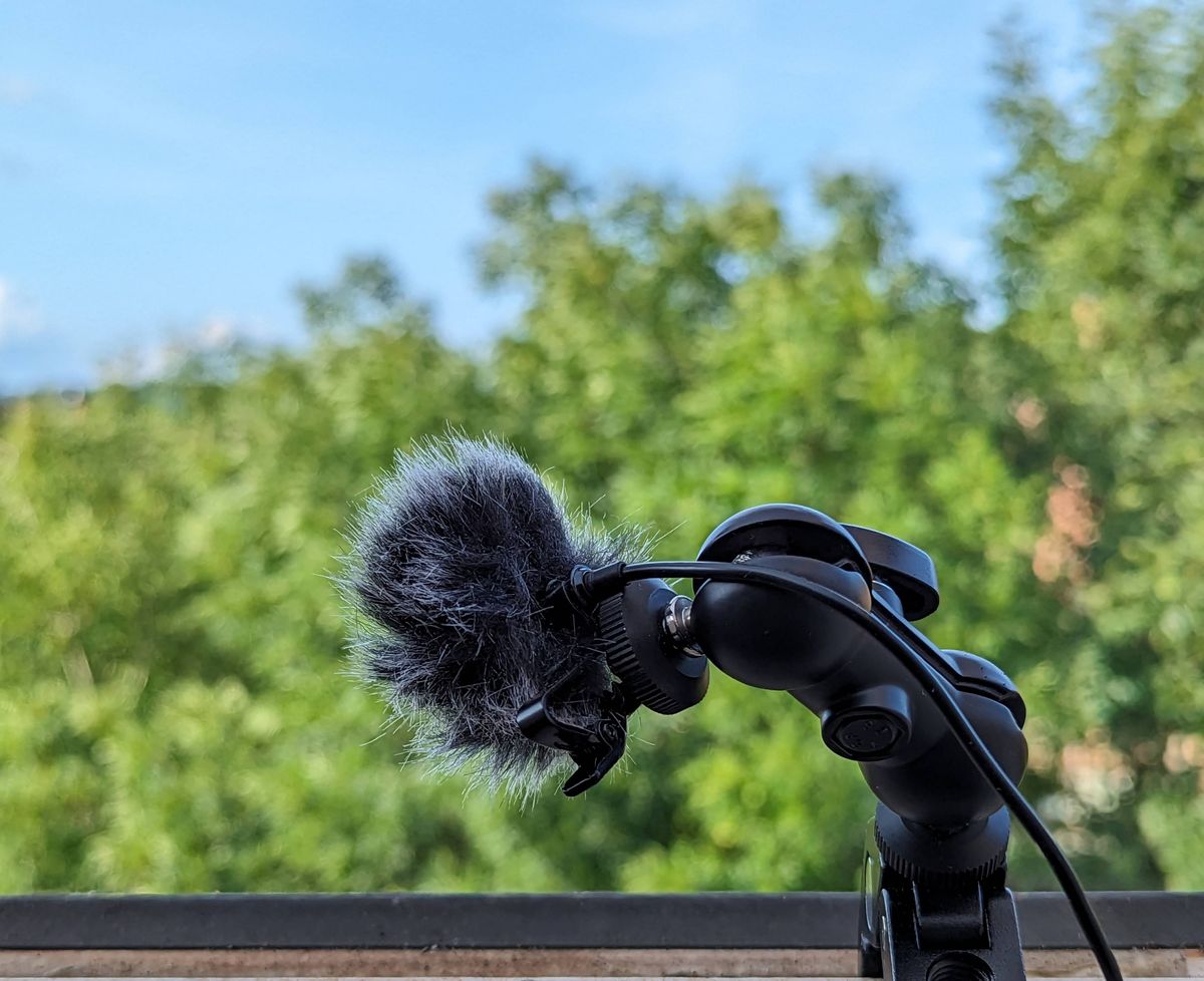 Raspberry Pi Project Detects and Recognizes Bird Calls | Tom's Hardware