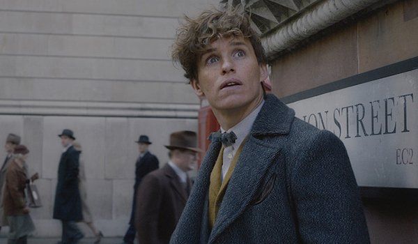Newt Scamander's Backstory: What You Need To Know About The Fantastic ...
