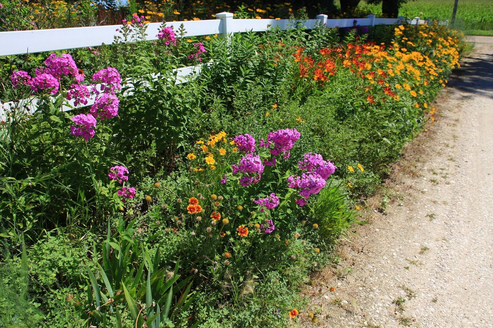 Zone 5 Gardens - What Are The Best Plants For Zone 5 | Gardening Know How