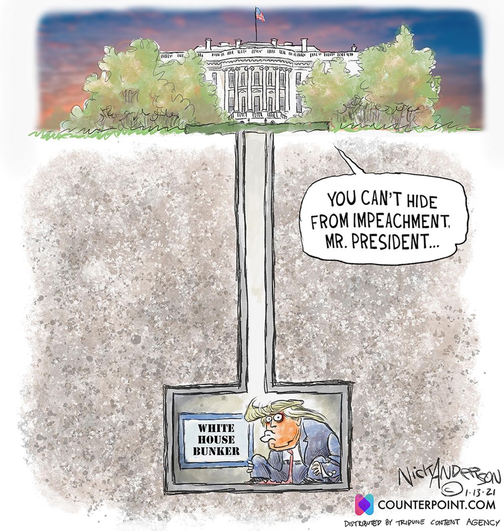 Political Cartoon U.S. Trump impeachment | The Week