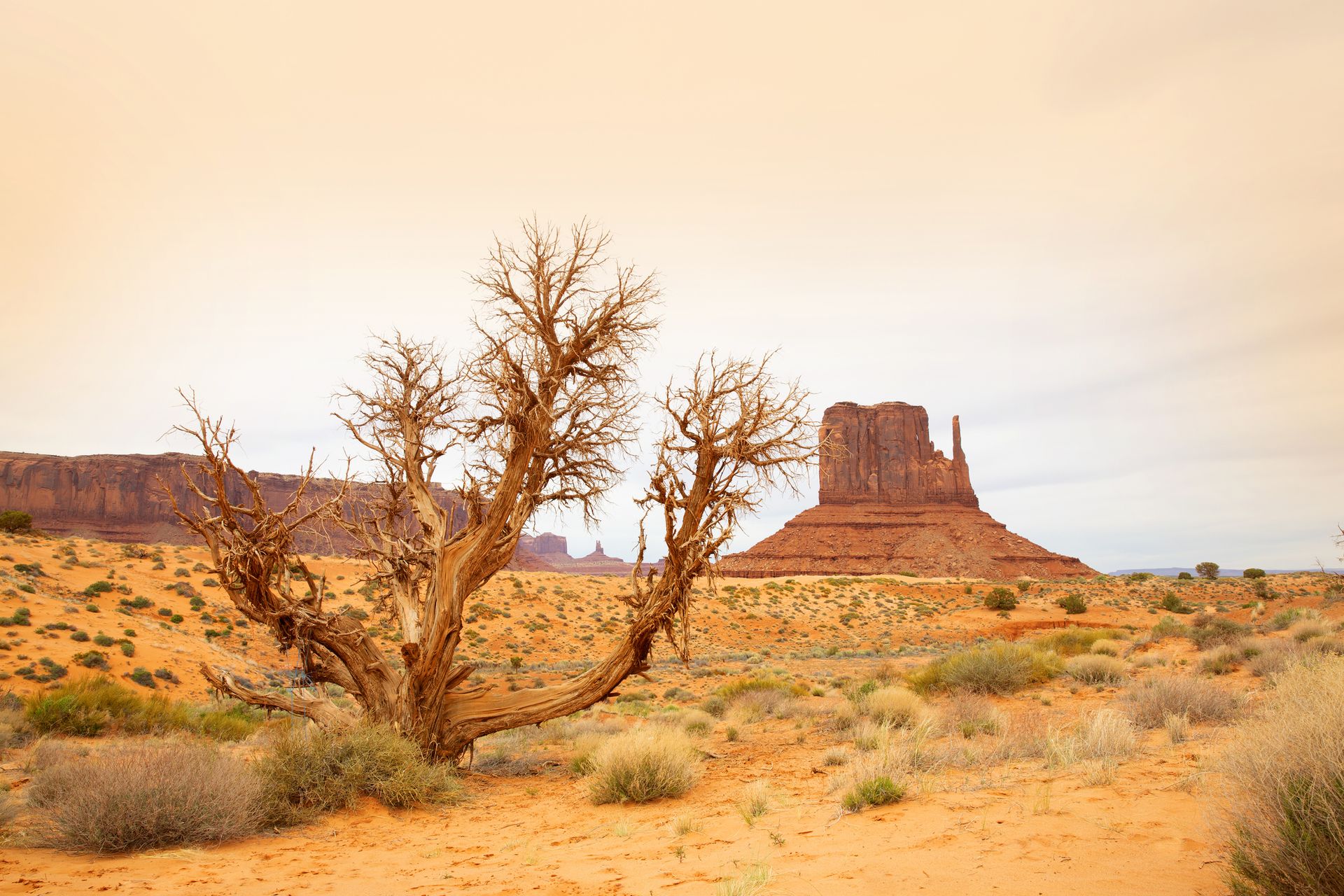 Arizona Retirement: Nine Things You Must Know | Kiplinger