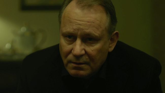 The Best Stellan Skarsgård Movies And TV Shows And How To Watch Them ...