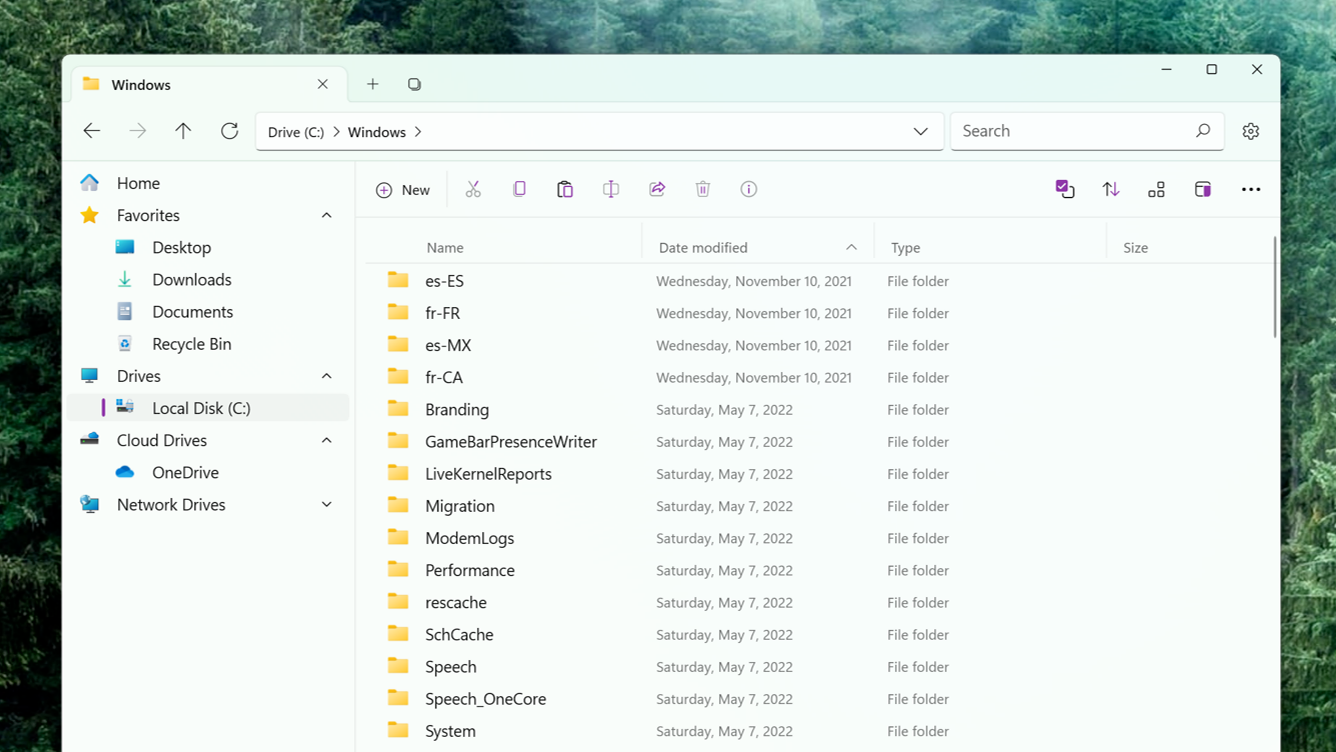 Modern file explorer 'Files' receives update to version 2.3 on Windows ...