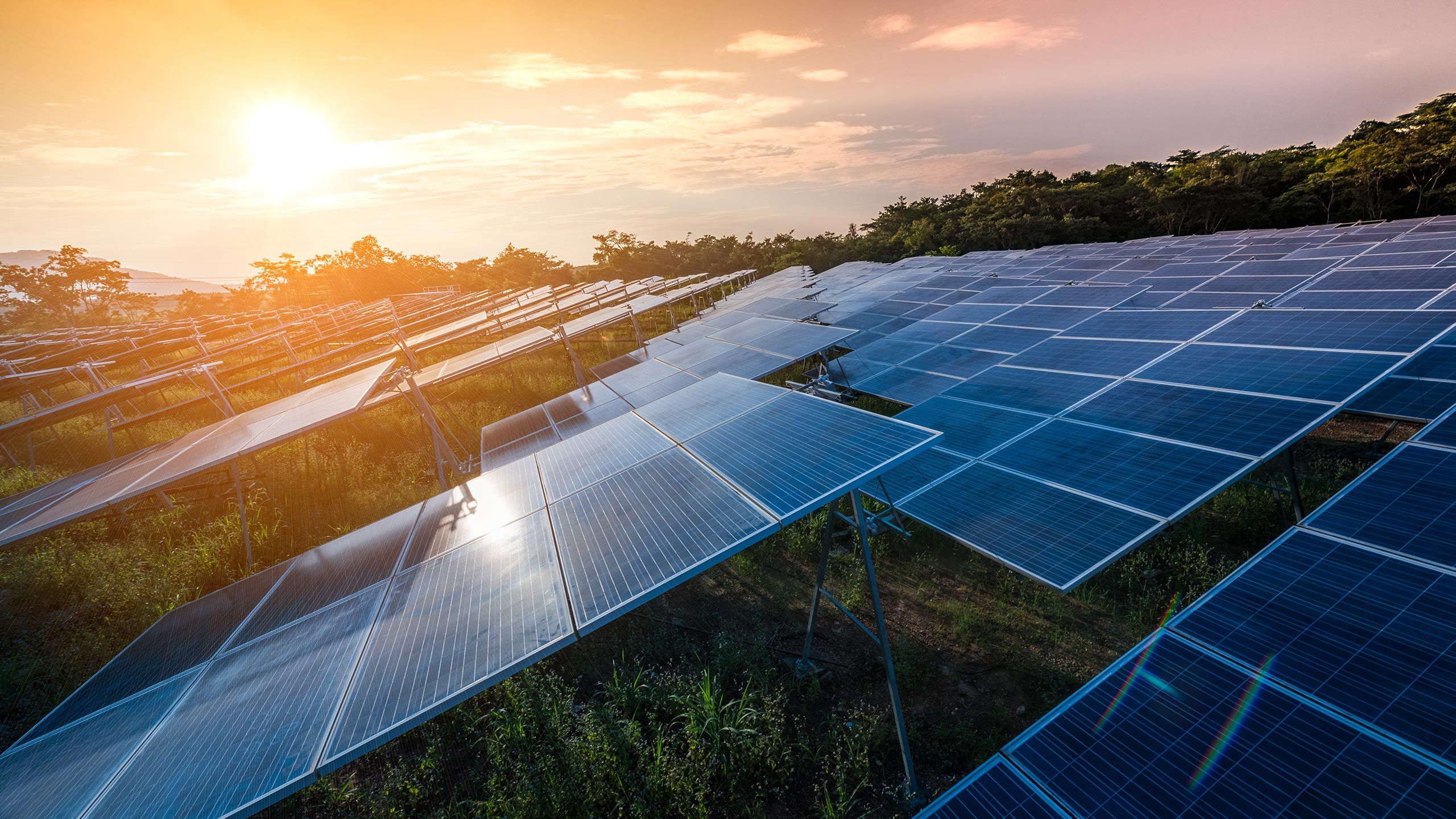 US targets China's solar dominance with 50% tariffs on solar wafers and ...