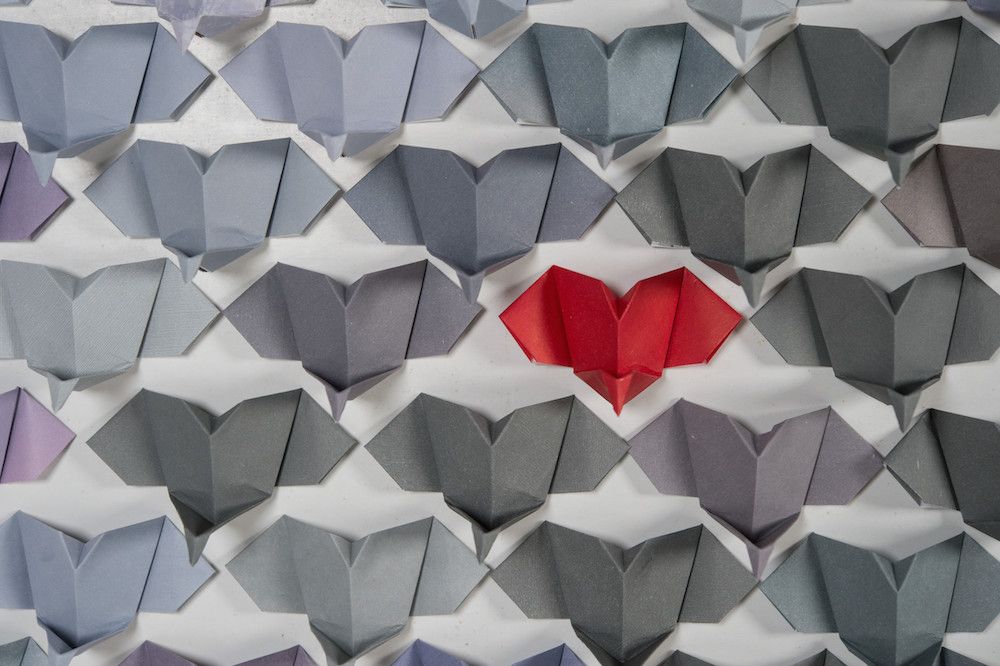 In Photos: The World's Largest Display of Origami Elephants | Live Science