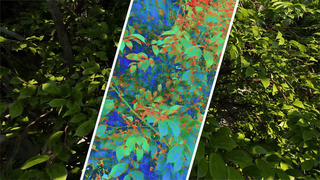 Intel releases new tool to measure gaming image quality — AI tool ...