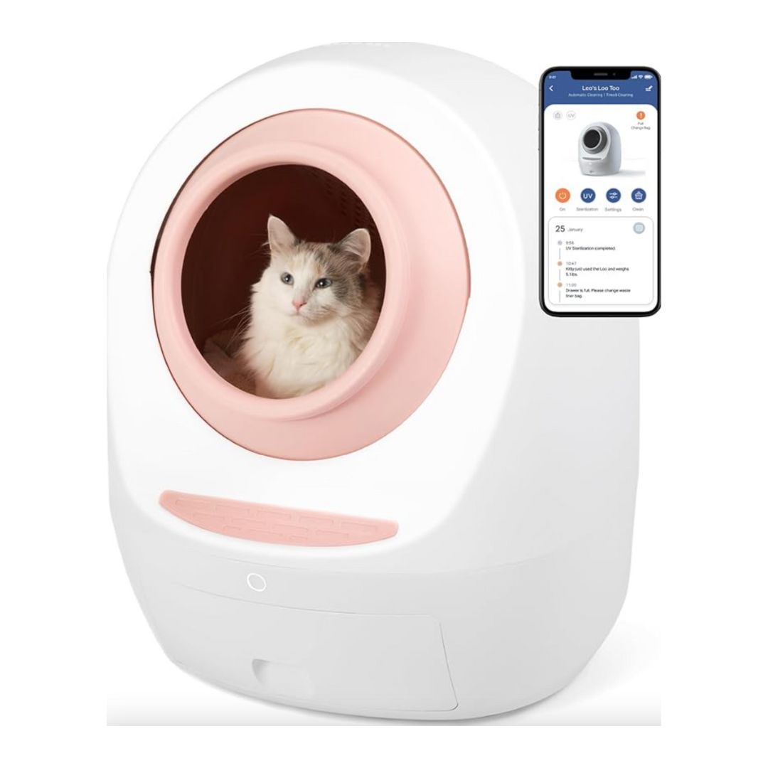 Best automatic cat litter boxes 2025: all tried and tested | PetsRadar