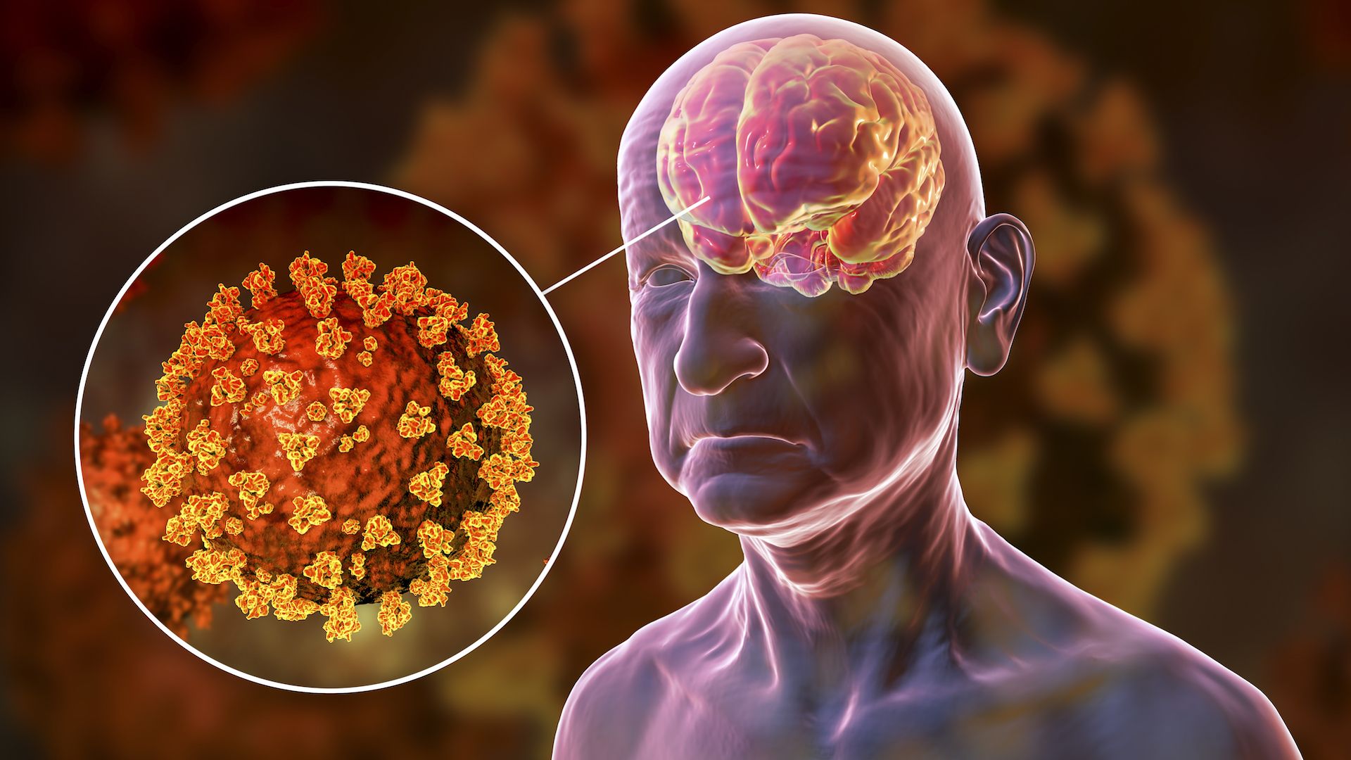 Virus that causes COVID-19 uses a secret 'back door' to infect the ...
