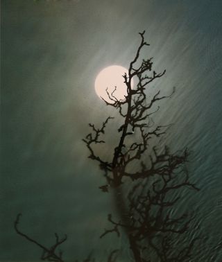 A global stage for the best contemporary photography: See the most ...