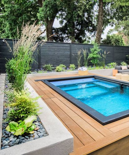Planting around pools - 12 of the best plants | Livingetc