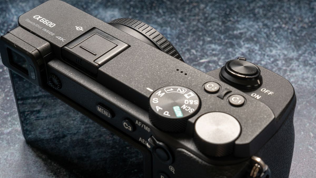 Sony A6600 camera review | Space