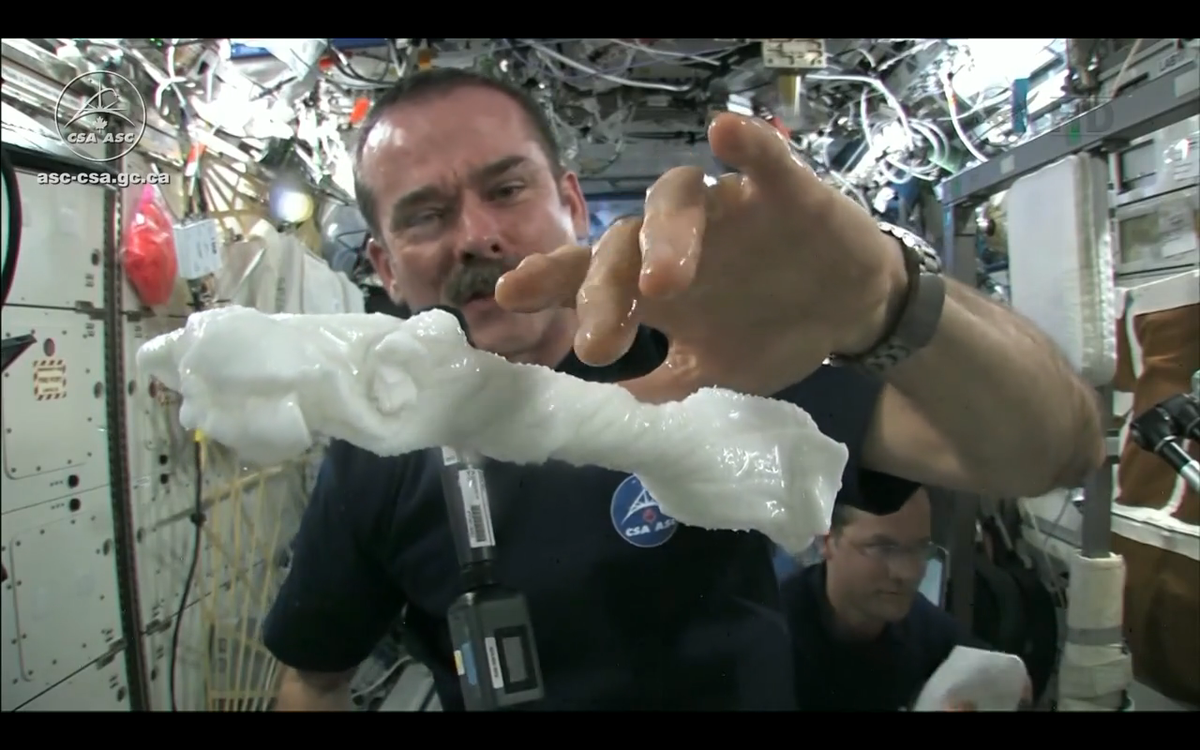 Life in Space: Astronaut Chris Hadfield's Video Guide | Space