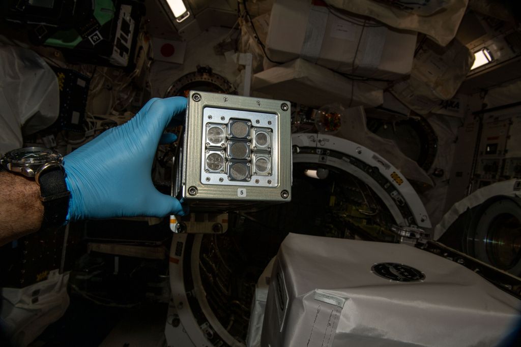 New survey outlines how NASA can help astronauts thrive beyond Earth ...