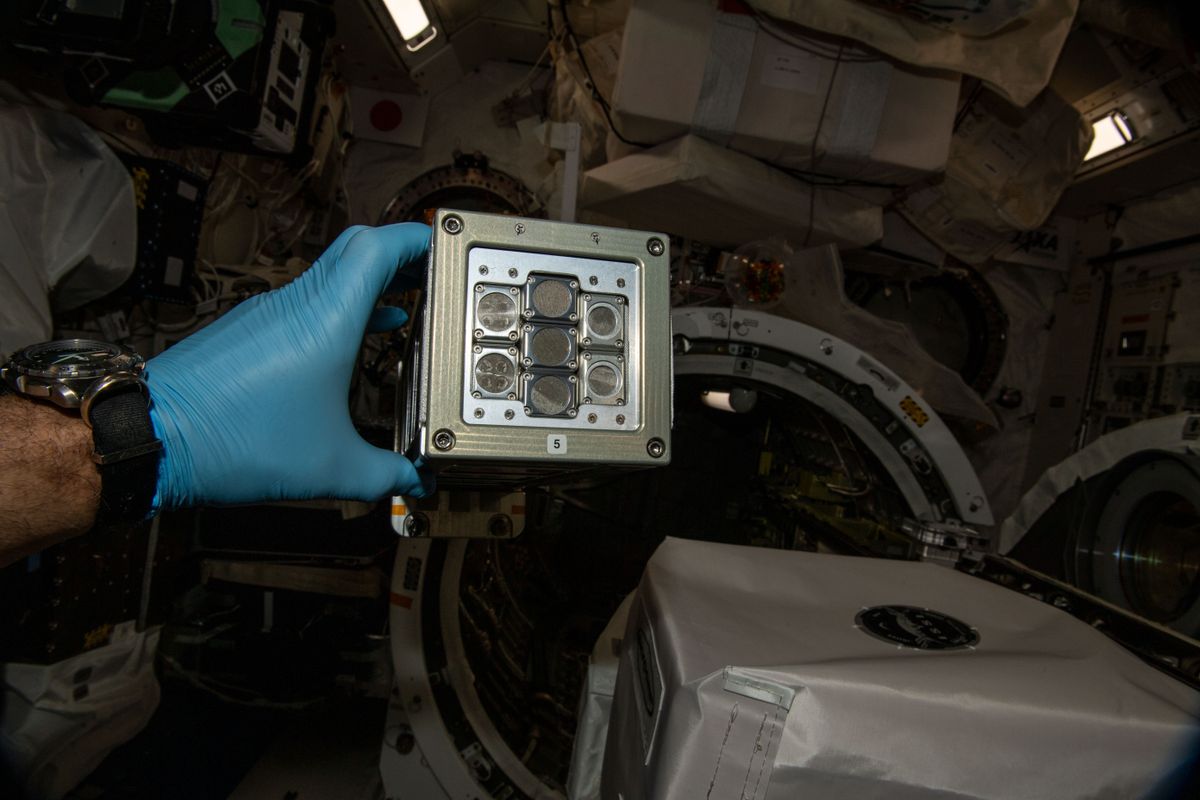 New survey outlines how NASA can help astronauts thrive beyond Earth ...