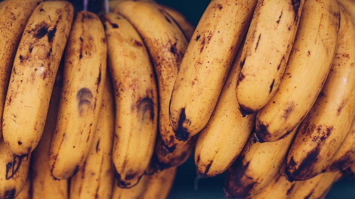 10 unusual phobias that actually exist | Live Science