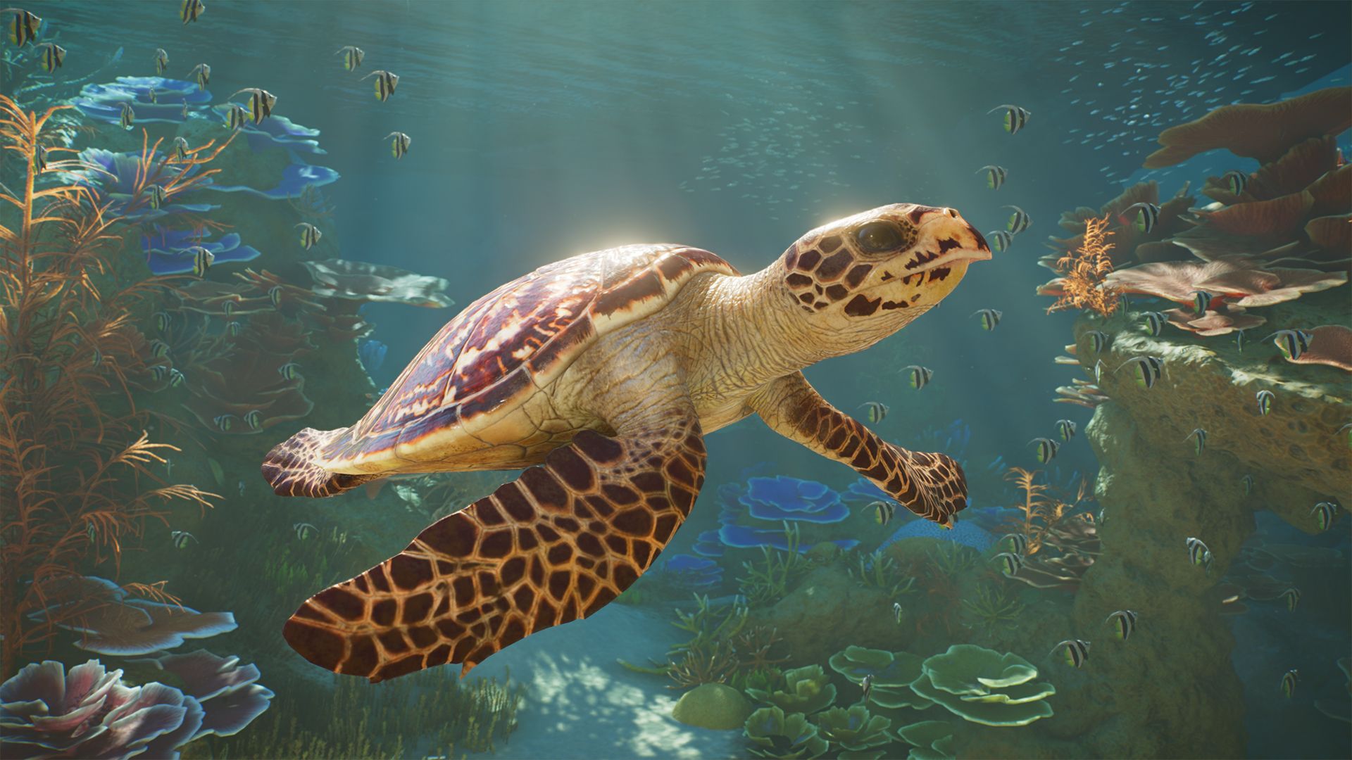 Planet Zoo 2's gameplay reveal shows how to manage the new aquariums ...