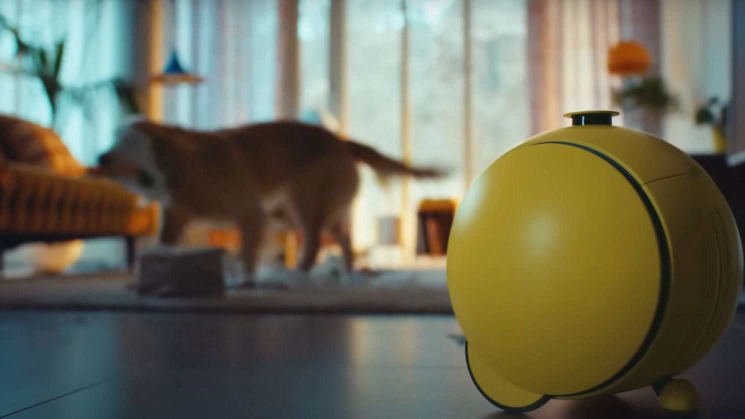 Samsung's working on a robot for your pets that'll even clean up dog ...