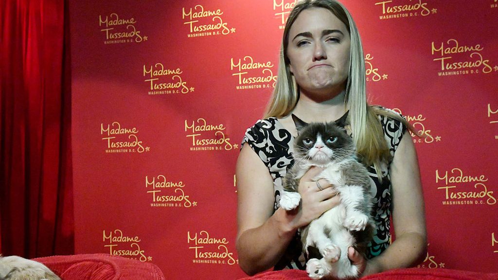 15 of the most famous cats (and how they rose to stardom) | PetsRadar