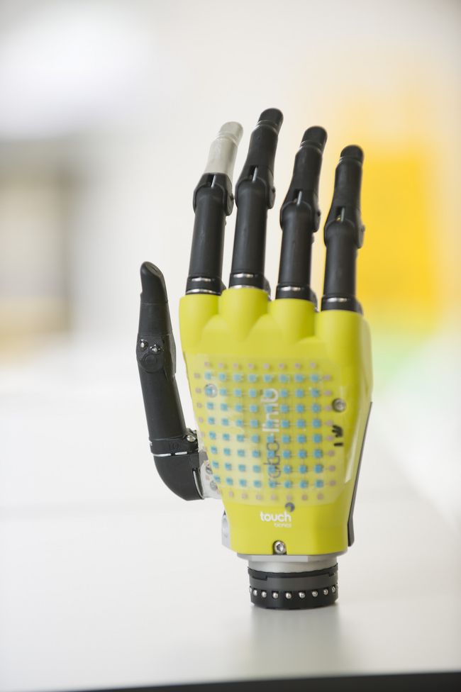 Sunlight Powers This Touch-Sensitive, Prosthetic Skin | Live Science