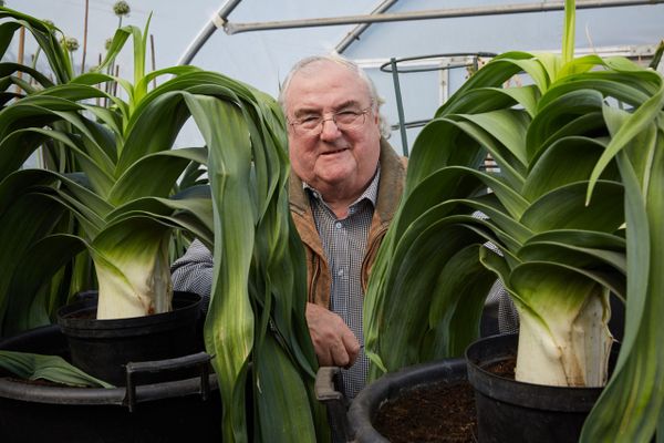Articles by Steven Desmond | Country Life