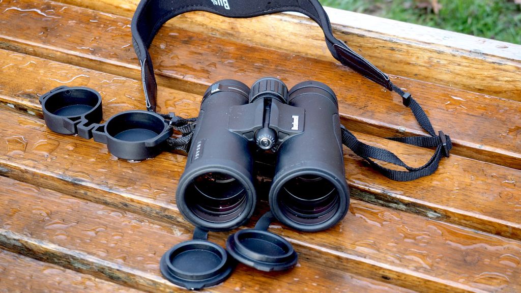 Best binoculars 2025: get a closer look | T3