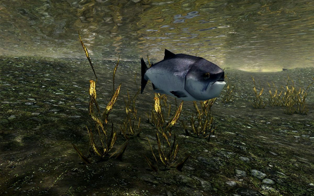 Skyrim Special Edition's Community Shaders mod just hit 1.0 and became ...