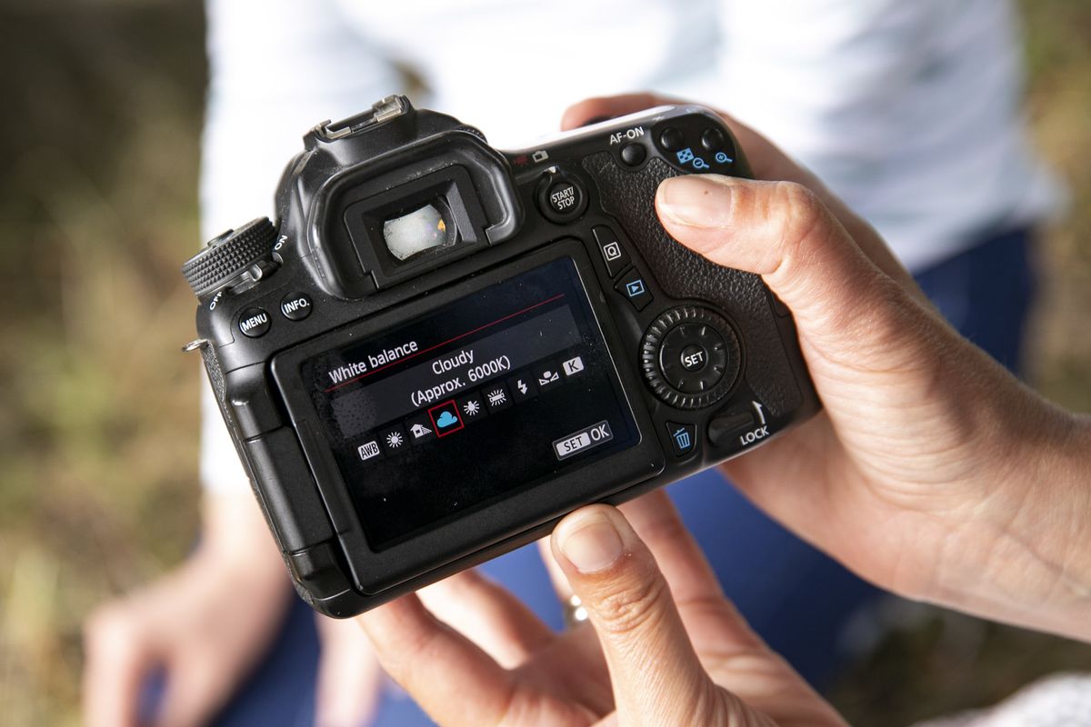 10 tips for amazing portrait photographs in your local park | Digital ...