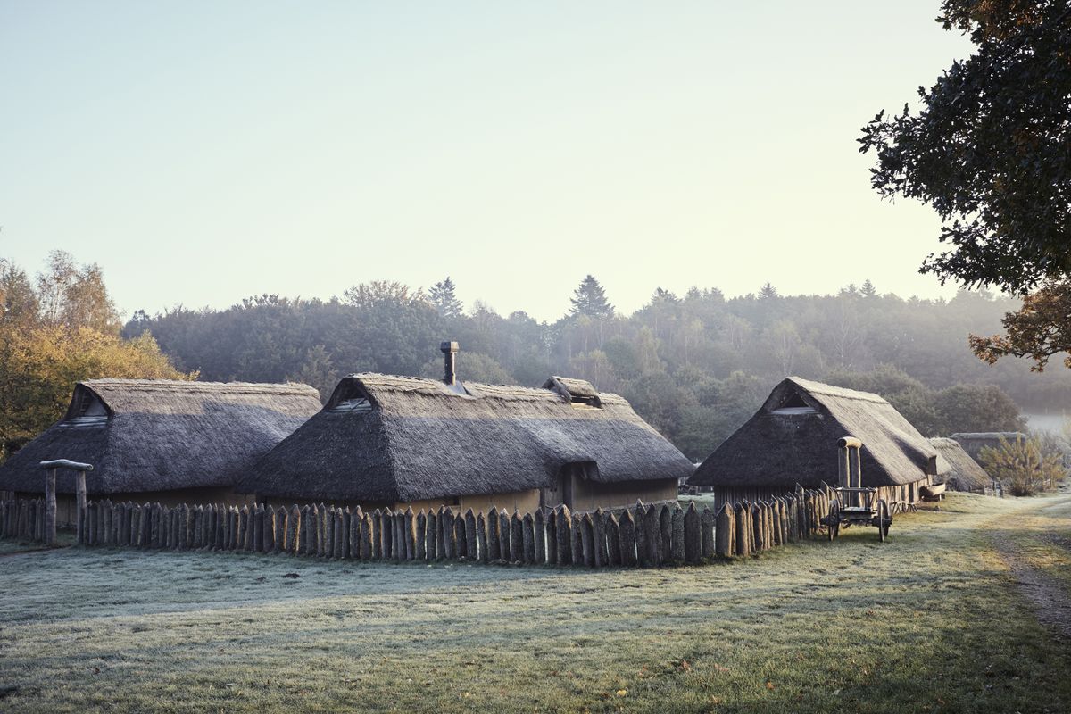 In Photos: Early Medieval Village Discovered in Denmark | Live Science
