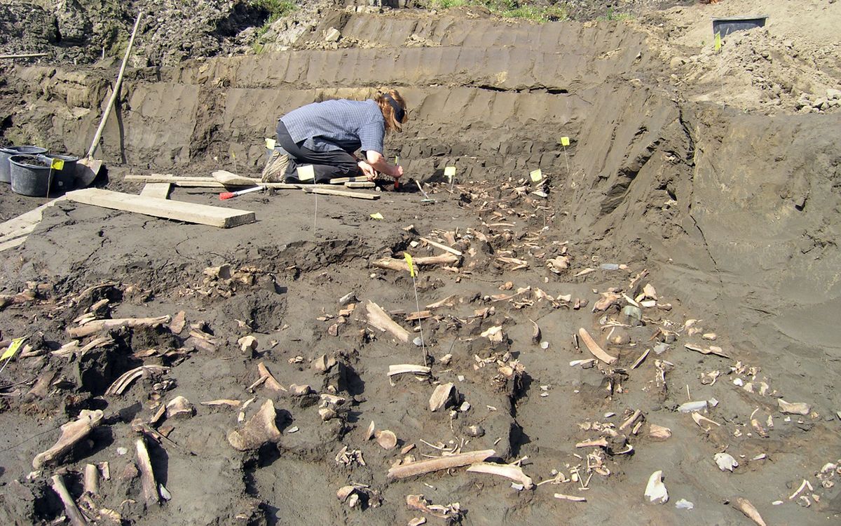 Unknown Group of Ancient Humans Once Lived in Siberia, New Evidence ...