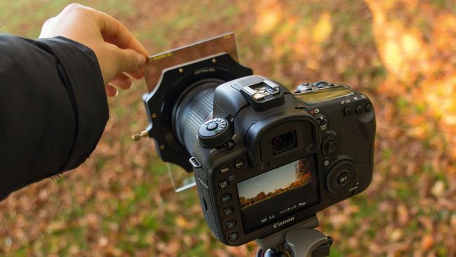 How to capture creative autumn shots | Digital Camera World