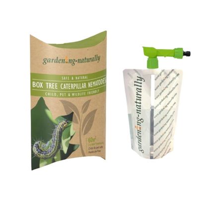 What are box tree caterpillars? And how to get rid of them | Ideal Home