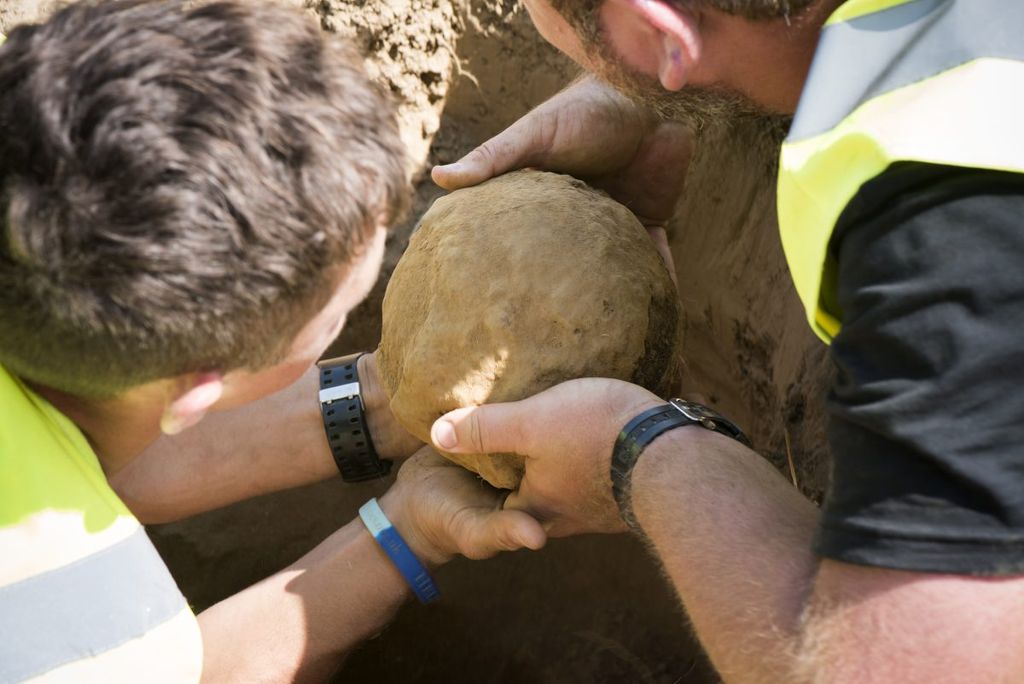 Amputated Limbs and Musket Balls Unearthed at Waterloo, 200 Years After ...