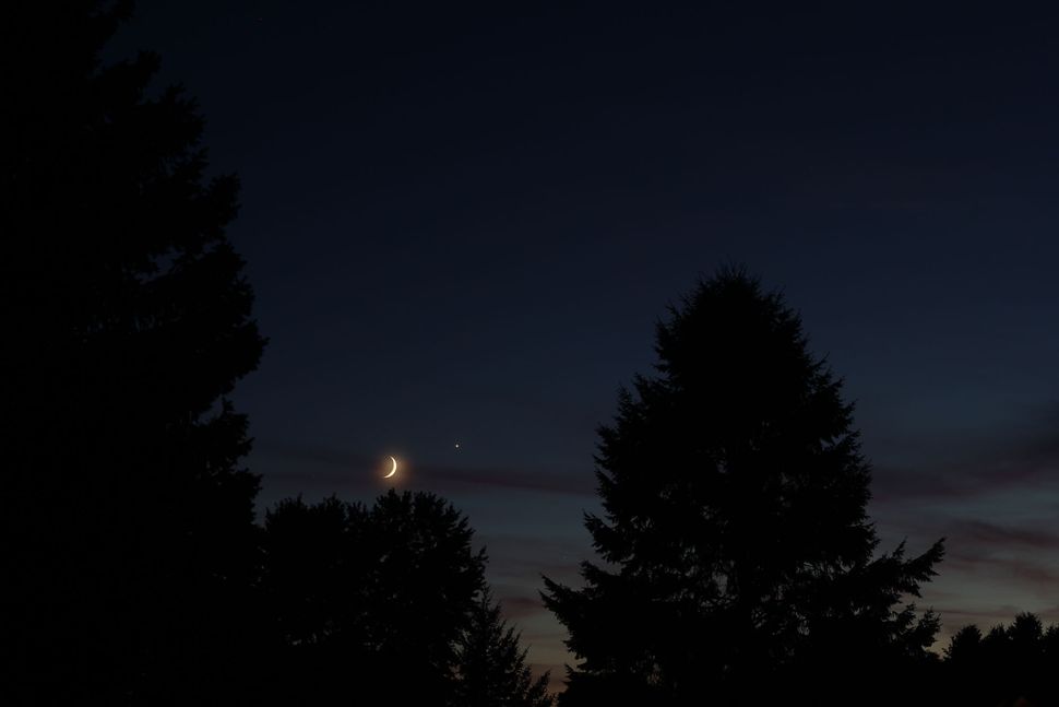 Venus and the Moon: Amazing Stargazer Photos of Sept. 8, 2013 | Space