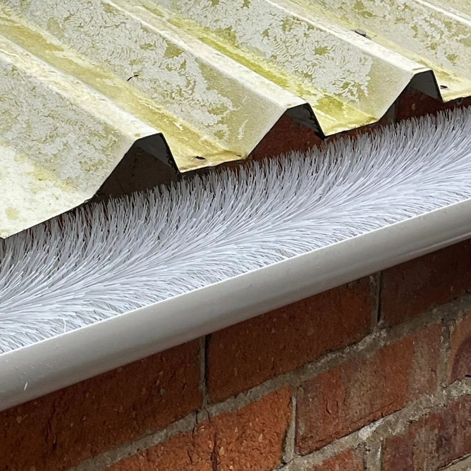 Conservatory pitfalls to avoid: from planning to upkeep | Homebuilding