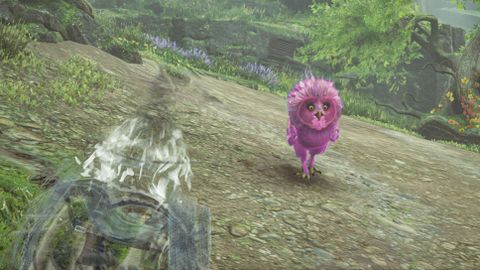 Hogwarts Legacy Fwooper locations: How to capture the magical African ...