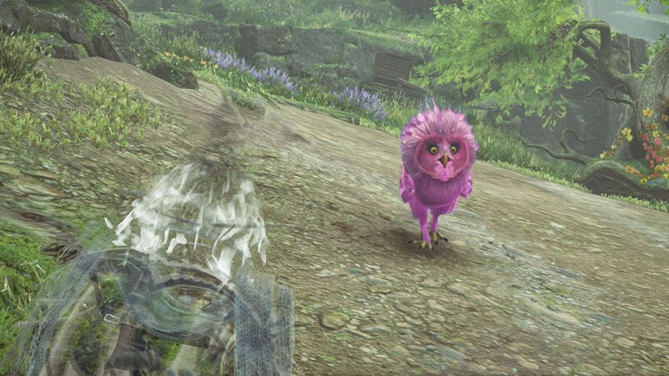 Hogwarts Legacy Fwooper locations: How to capture the magical African ...