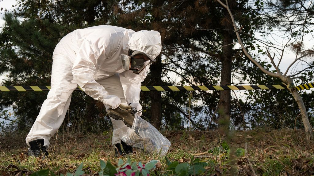 'Microbiome of death' uncovered on decomposing corpses could aid ...